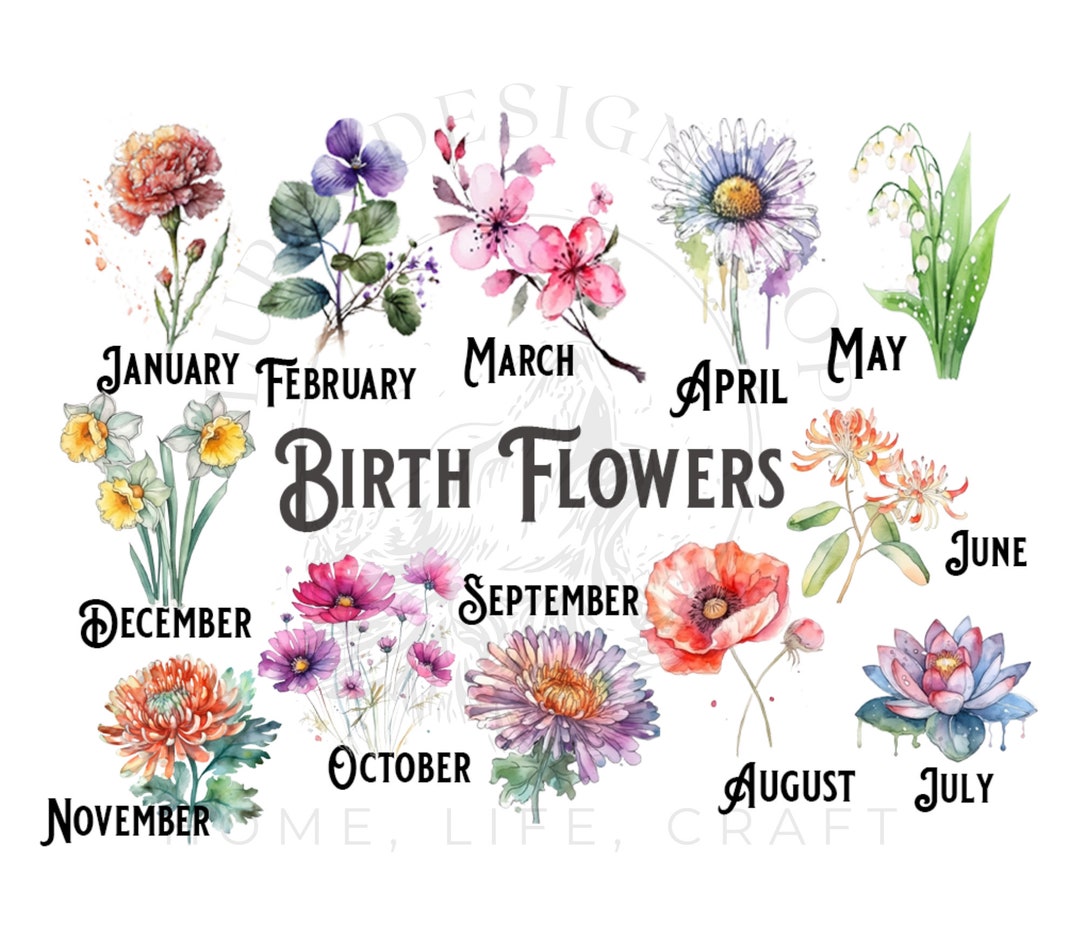 Birth Month Flower Bundle, Flower PNG, Sublimation Designs, Birth ...