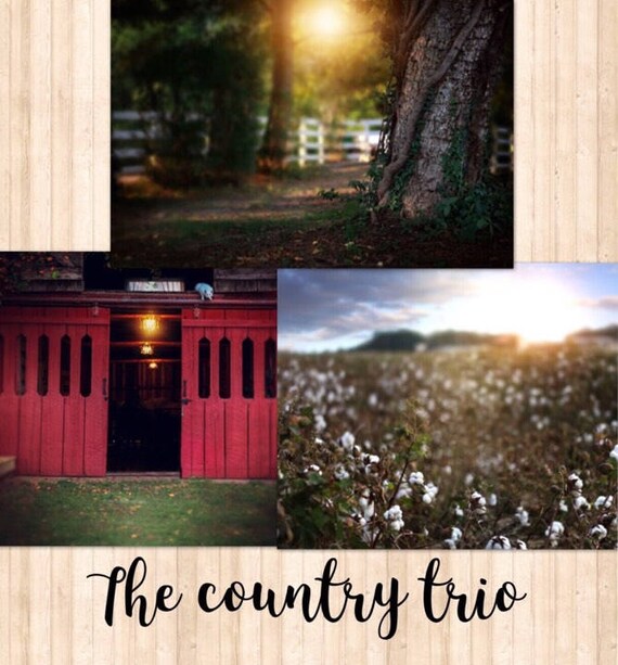 Country Digital Backdrop Bundle | Etsy