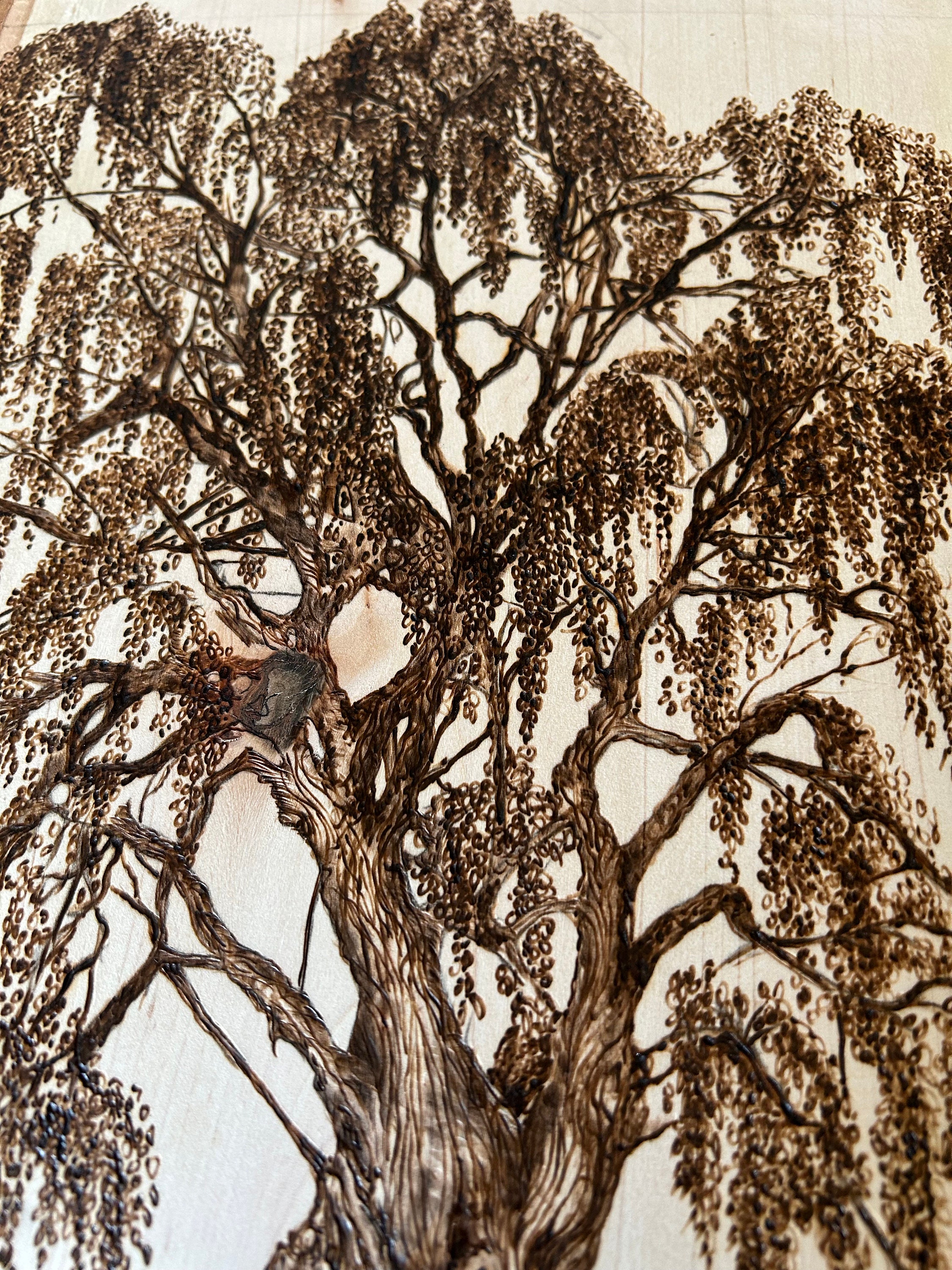 Original Pyrography/woodburning Art - Spring Willow - Etsy