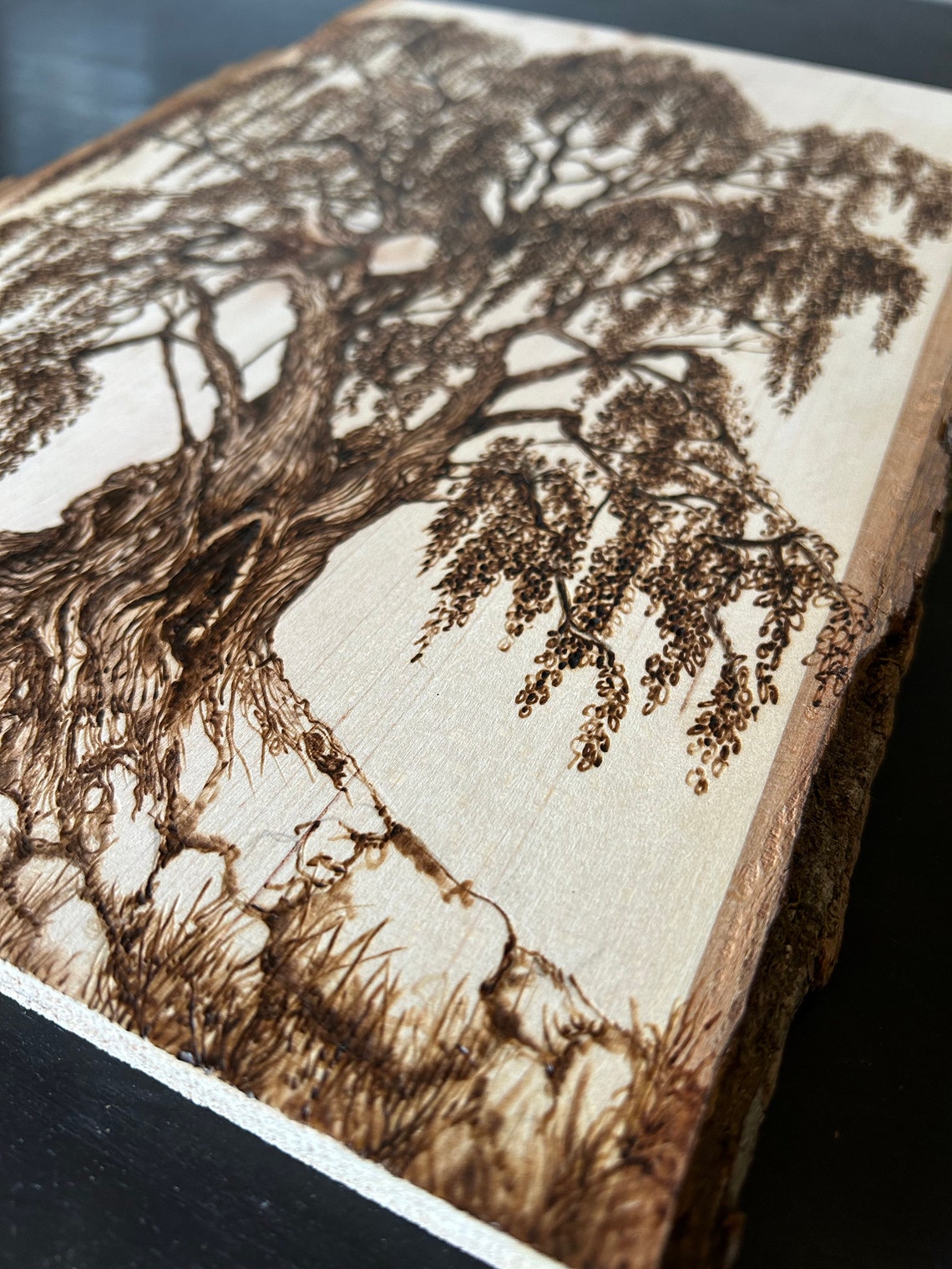 Original Pyrography/woodburning Art - Spring Willow - Etsy