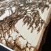 Original Pyrography/woodburning Art - Spring Willow - Etsy