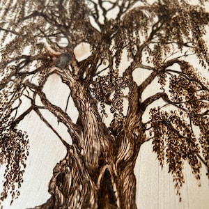 Original Pyrography/woodburning Art - Spring Willow - Etsy