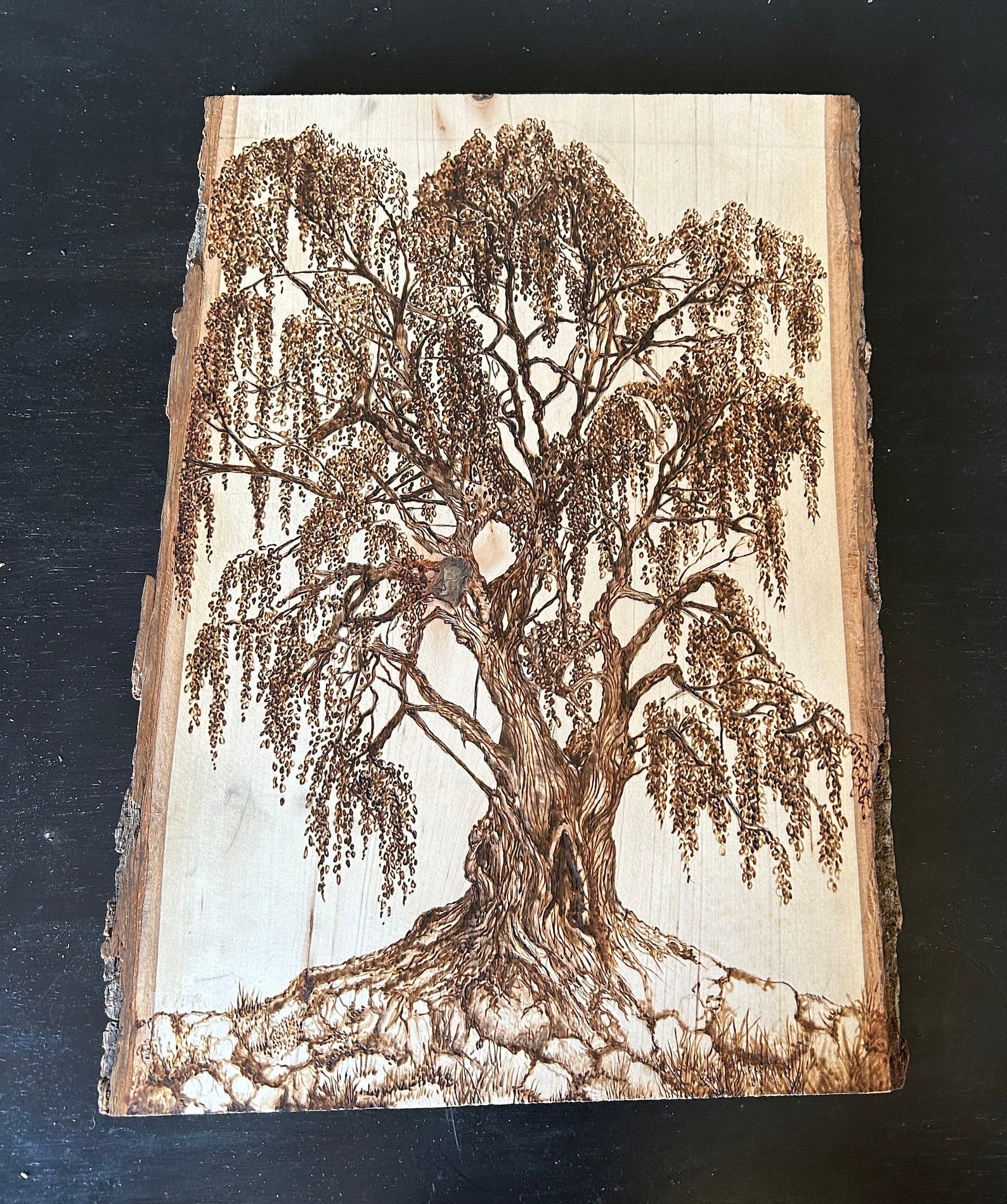 Original Pyrography/woodburning Art - Spring Willow - Etsy