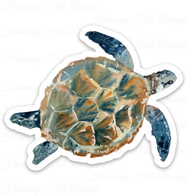Sea Turtle Sticker Turtle Vinyl Sticker Turtle Waterproof - Etsy