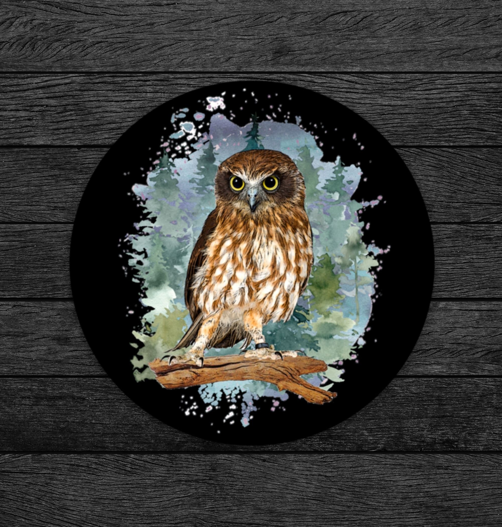 Owl Sticker Owl Vinyl Sticker Owl Decal Owl Lover Owl - Etsy