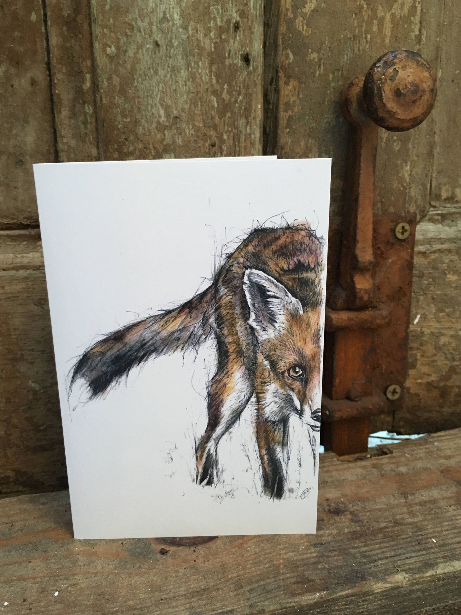 Pack of 4 the Shy Fox Greetings Cards With Envelopes blank - Etsy UK