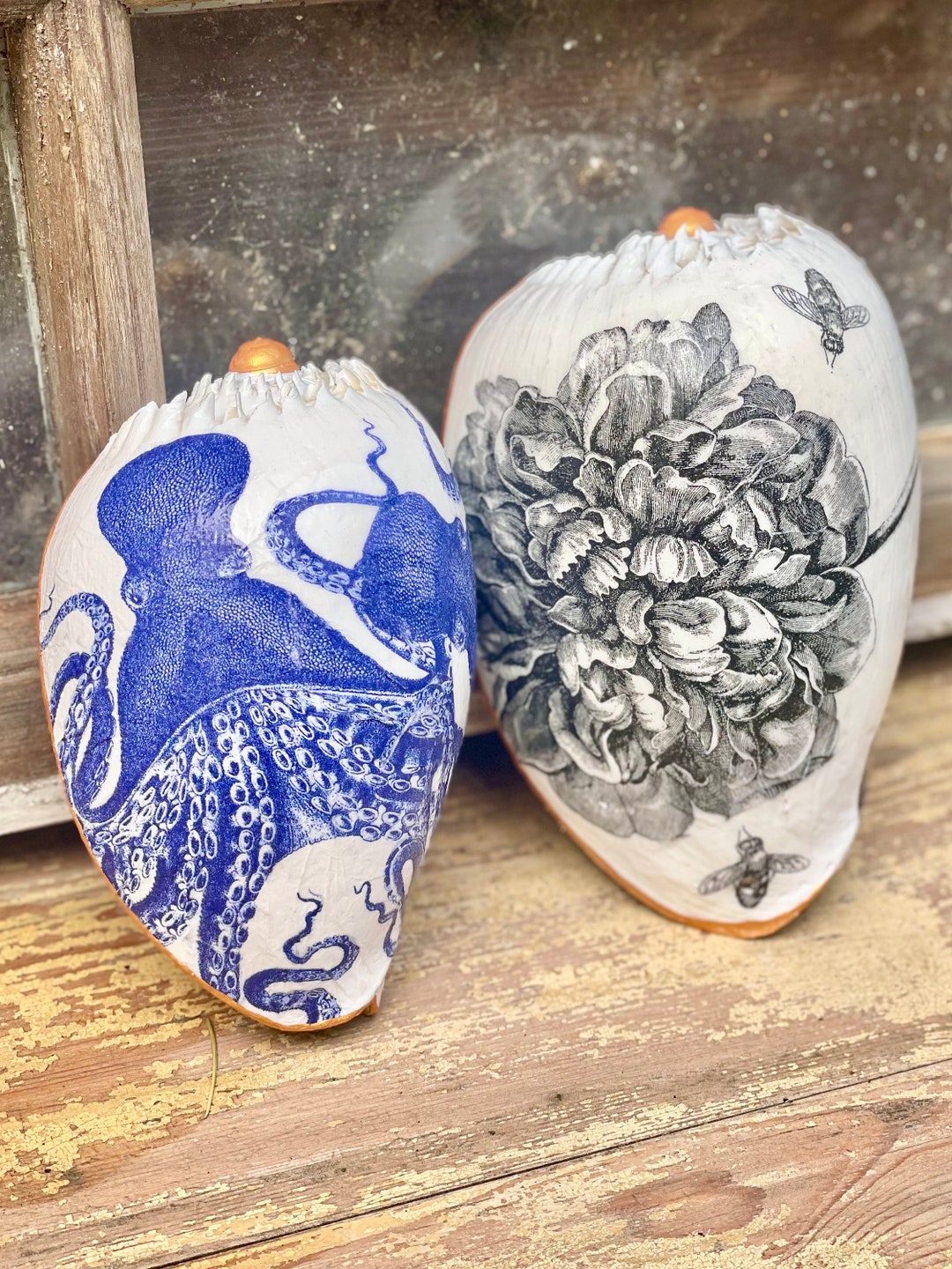 Extra Large One off Melon Shell Design. Various Designs: - Etsy