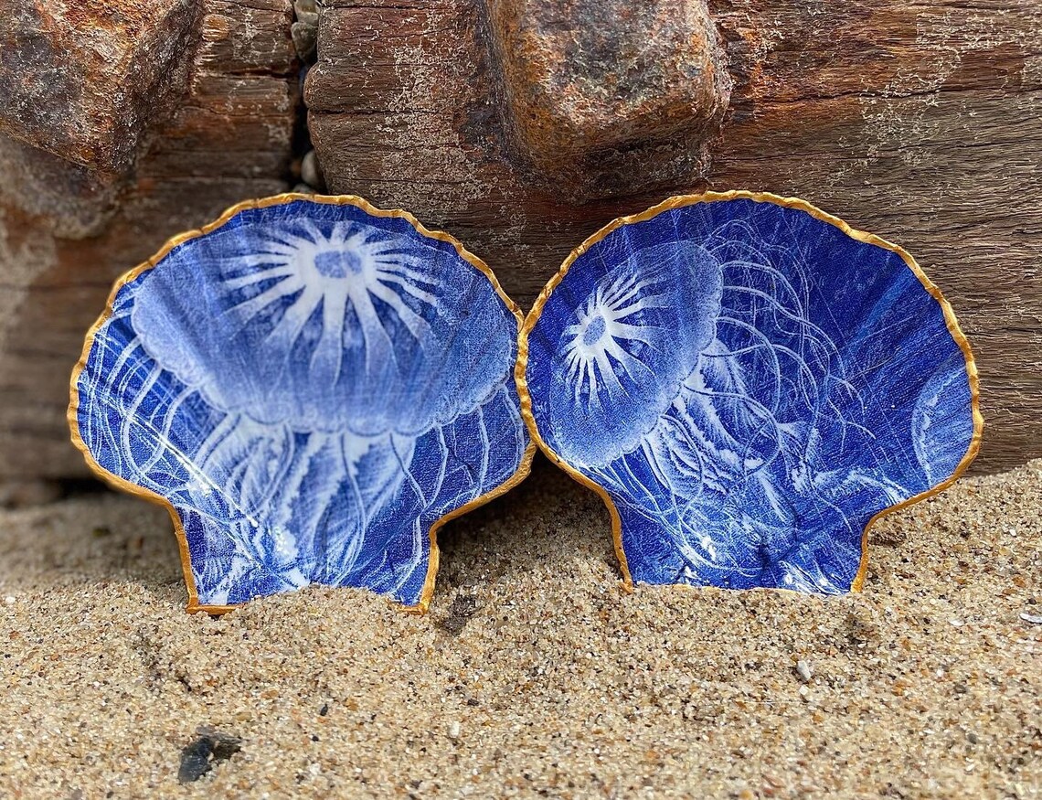 Various Ocean/sea Creature Designs Decoupage Large Scallop - Etsy