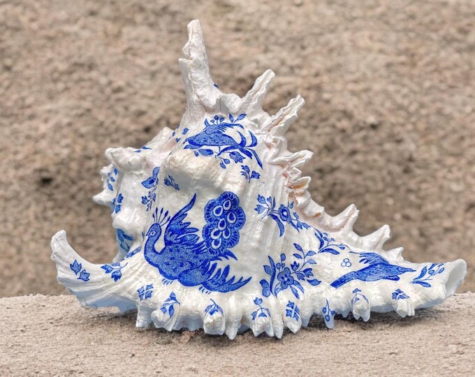 Bear Claw Clam Shells, Various Designs, Hand Decorated Ornaments or ...