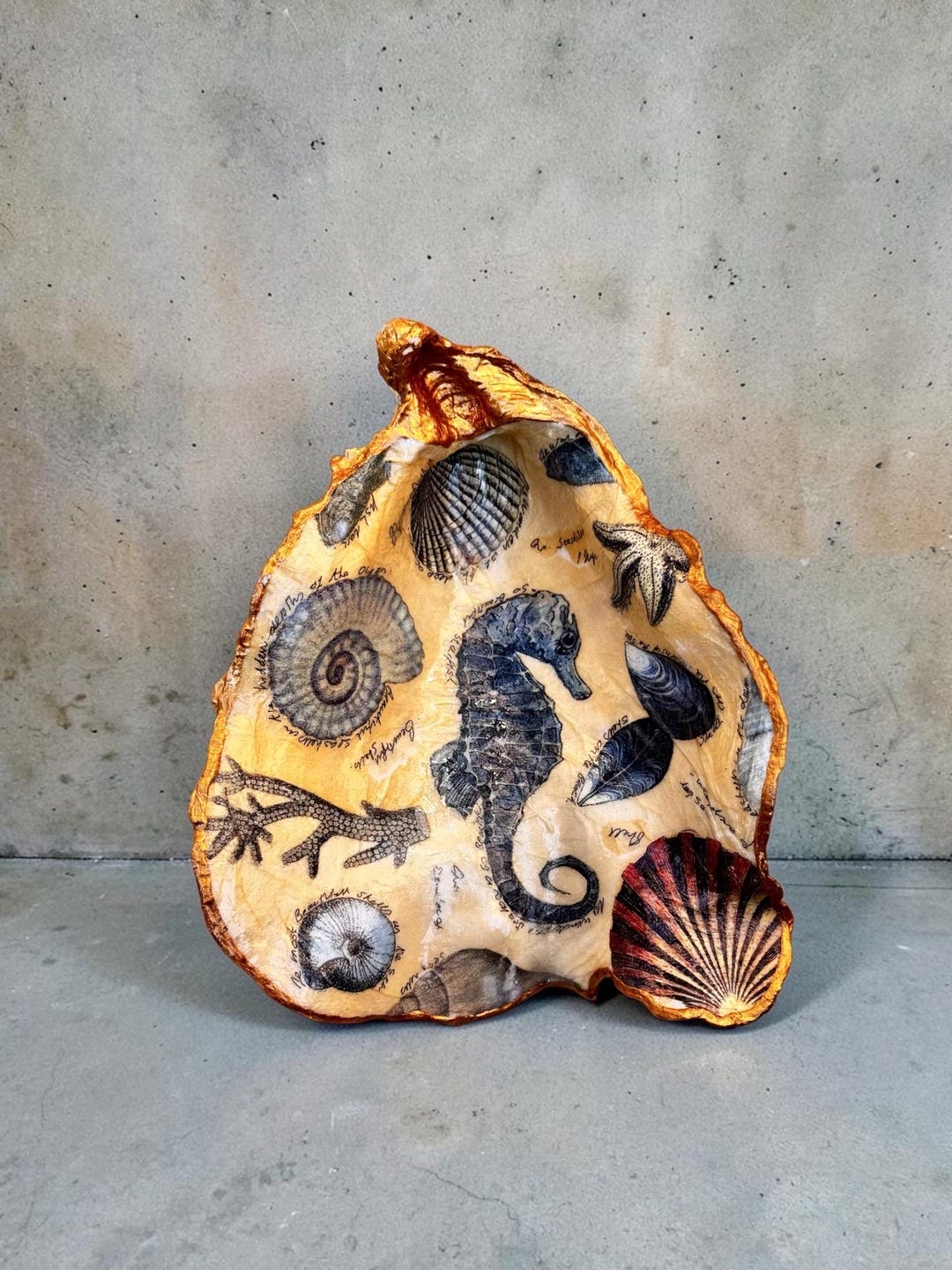 Extra Large Oyster Shells (various Designs) Edged With Warm Gold Paint ...