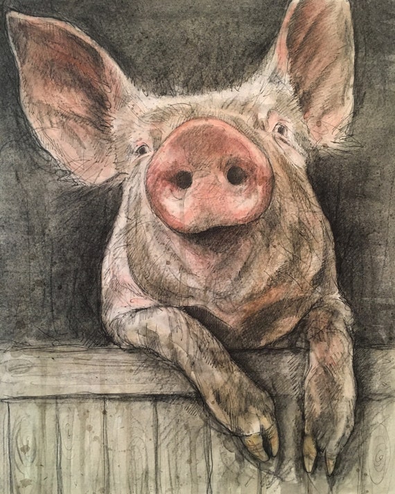 Pig Print 'The Friendly Pig' Highest Quality Giclee | Etsy