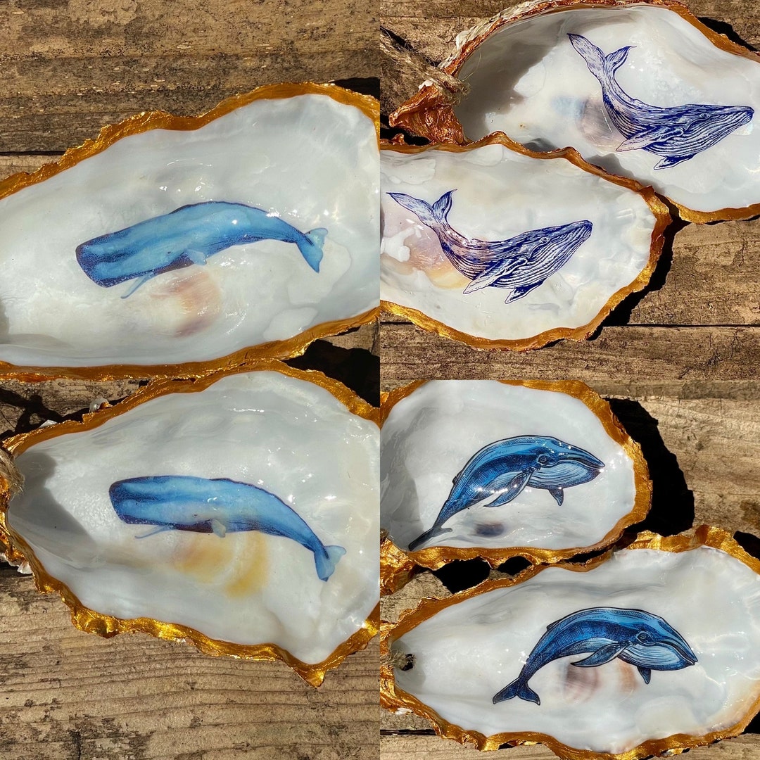 Handcrafted Whale Oyster Shells (various Designs) Sealed With Gloss ...