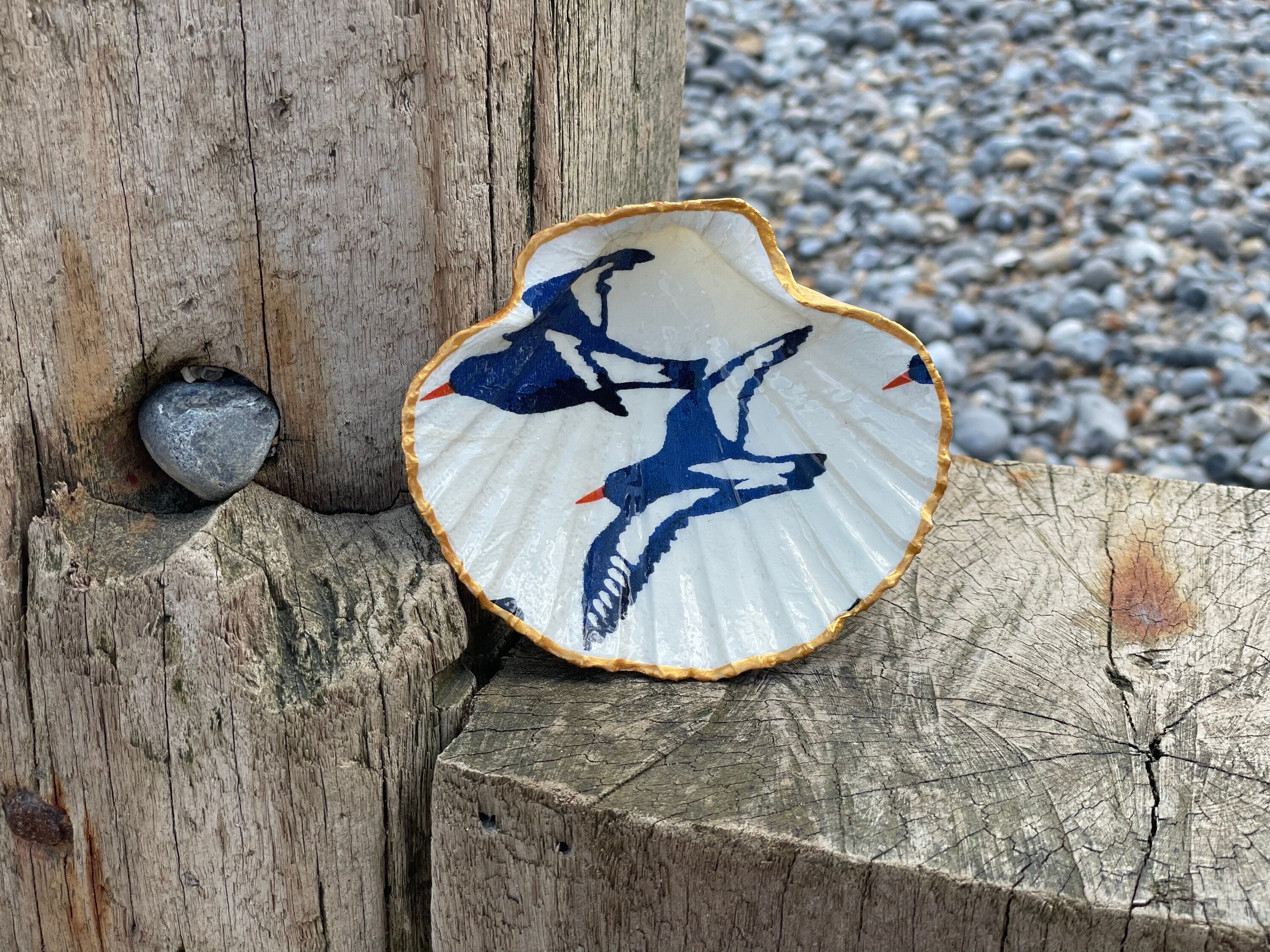 Various Ocean/sea Creature Designs Decoupage Large Scallop - Etsy