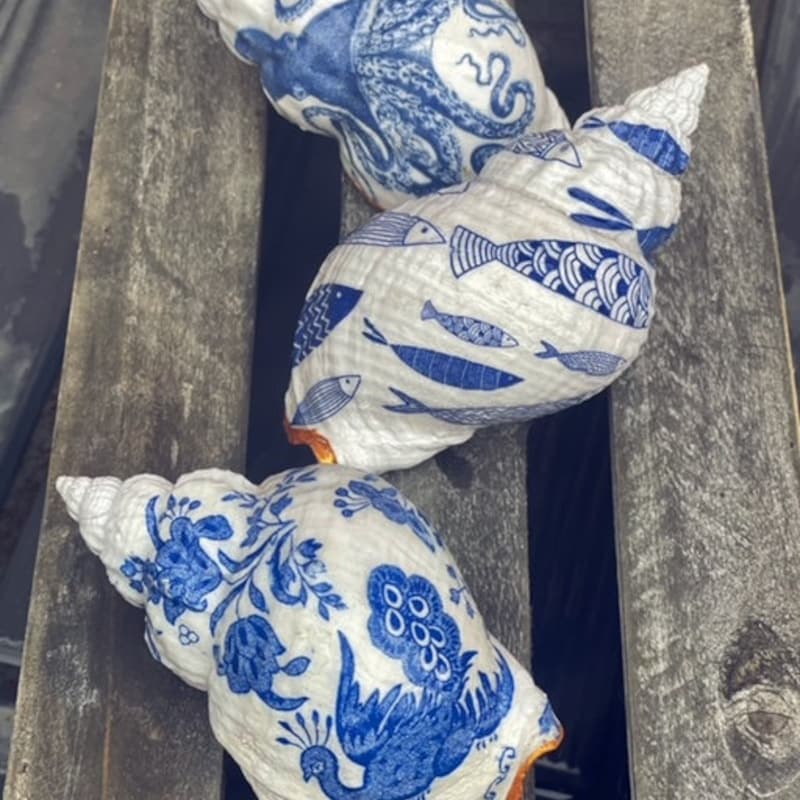 Decoupage Conch Shells - Etsy