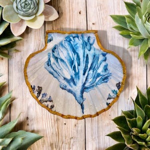 Various Designs Decoupage Large Scallop Shells: Florals and Patterns ...