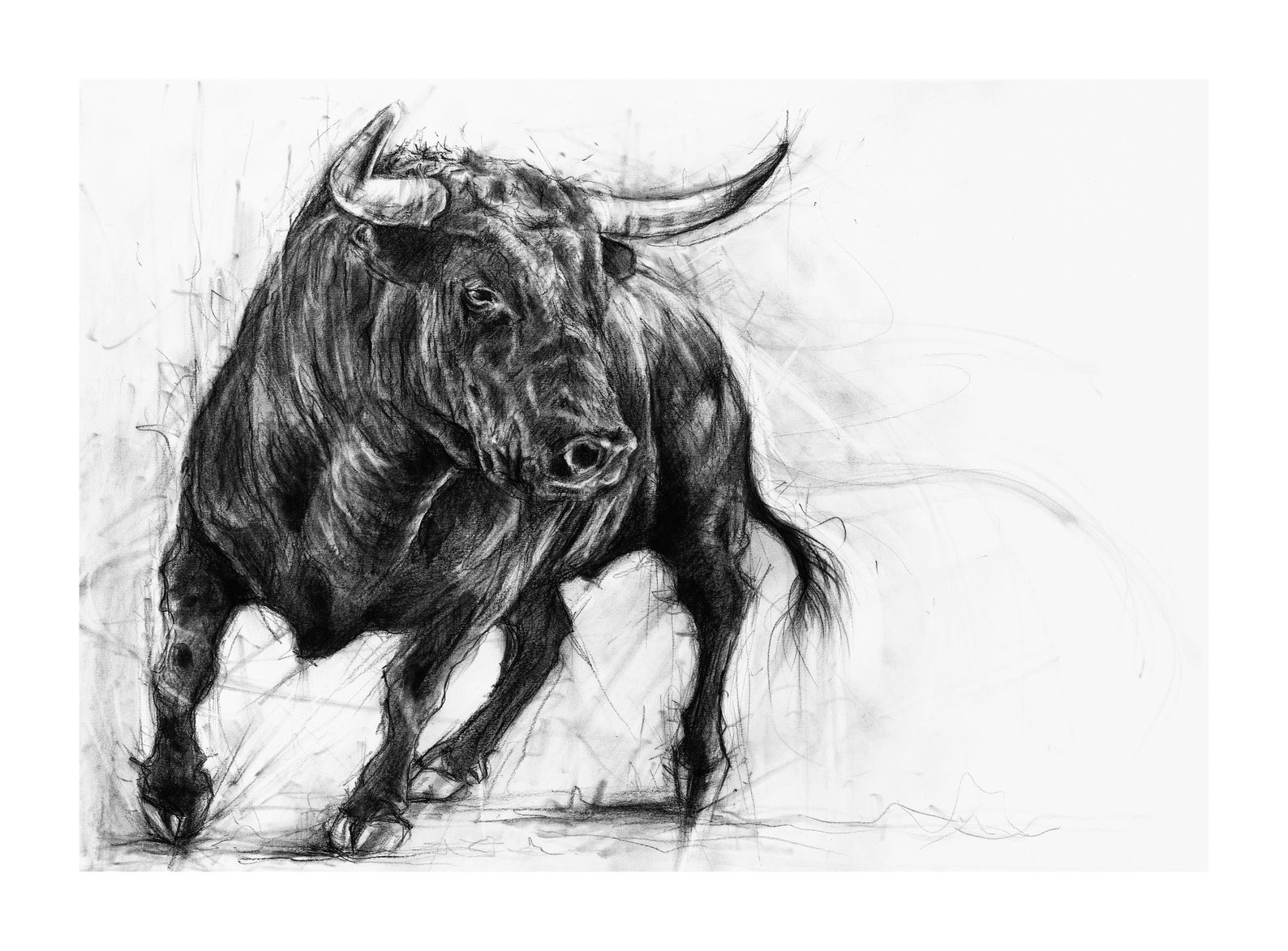 The Trouble Maker A2 Black Charcoal Bull Print highest - Etsy