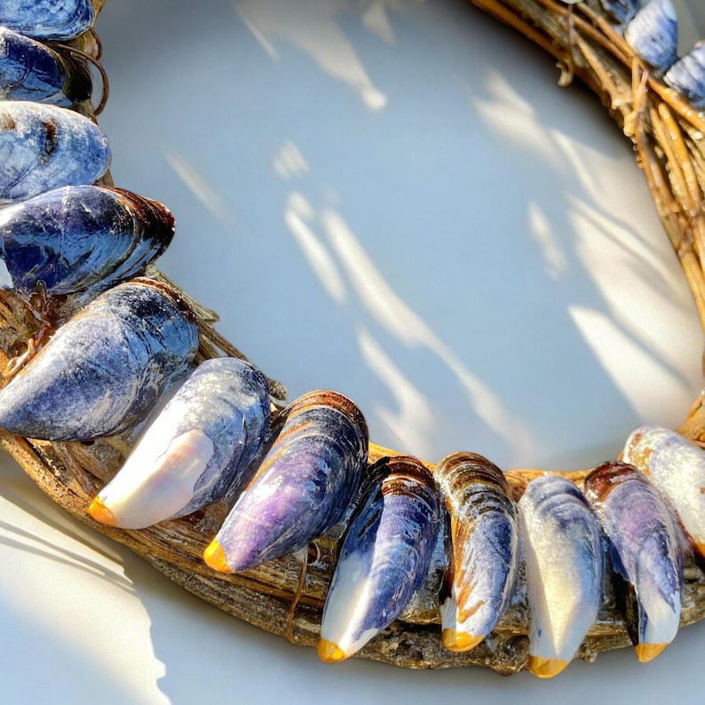 Shell Wreaths With Hints of Gold and Copper Finished With Nautical Rope ...