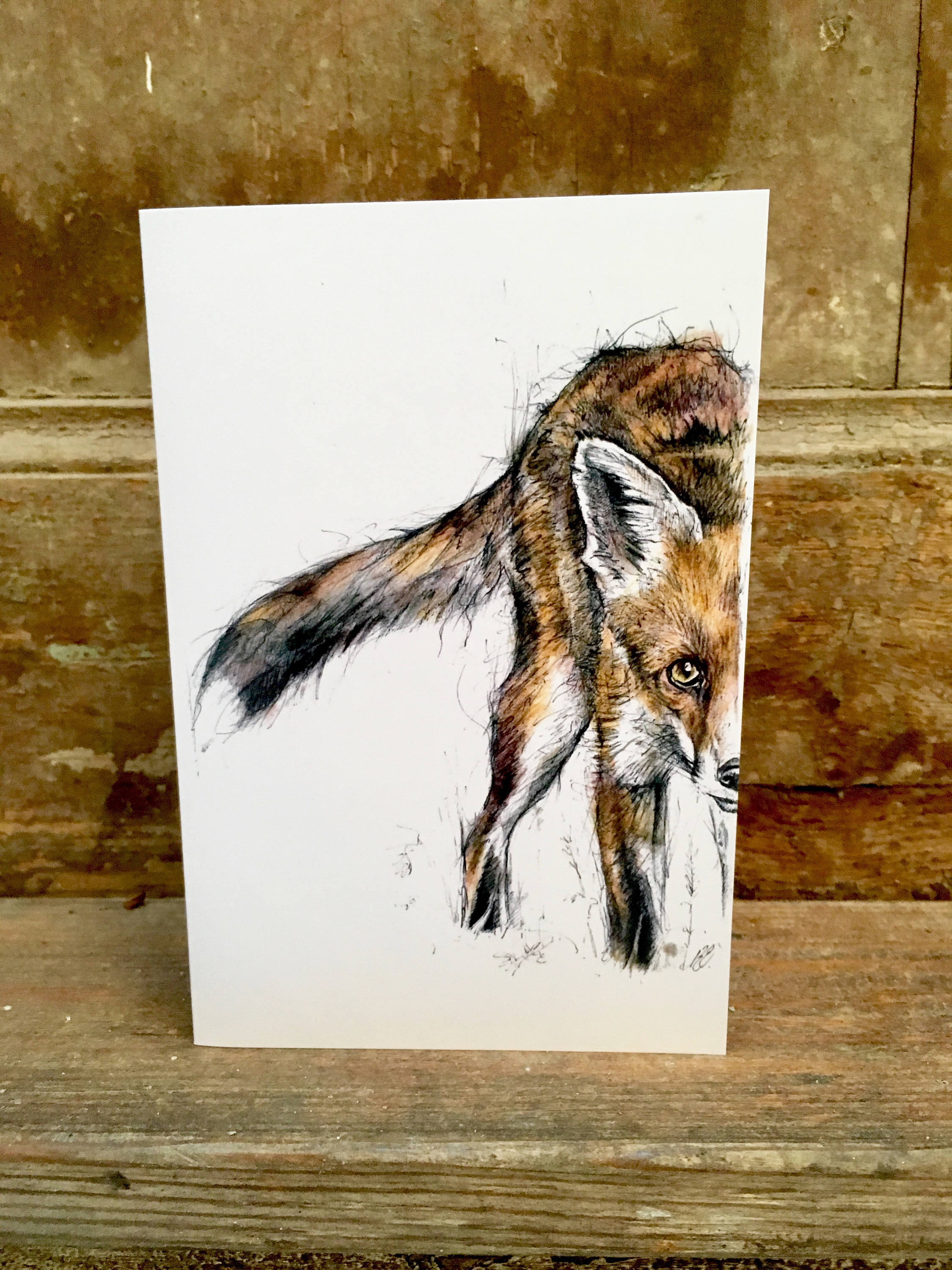 Pack of 4 the Shy Fox Greetings Cards With Envelopes blank - Etsy UK