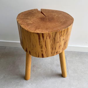 Unique Mid Century Tree Trunk Side Table - Etsy