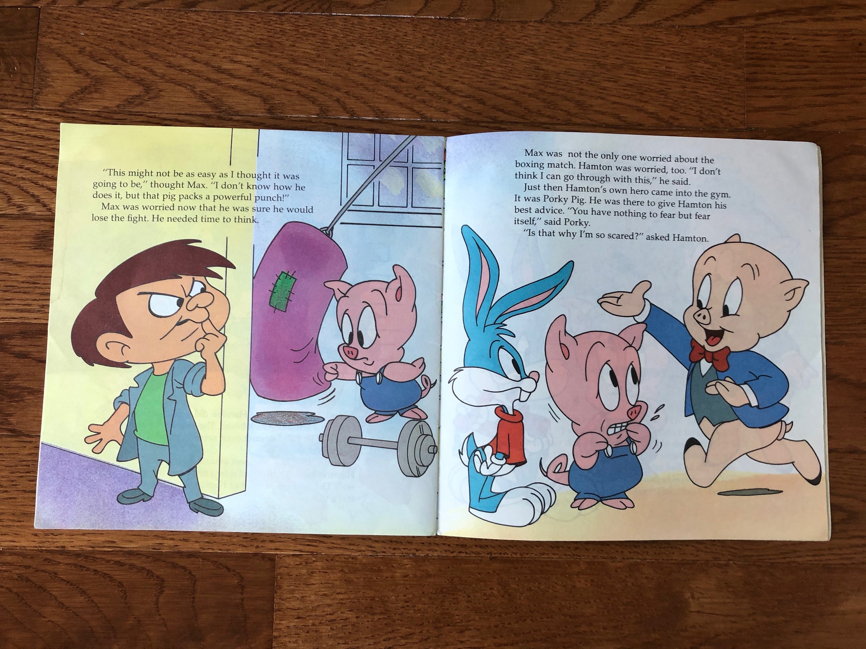 Tiny Toon Adventures - Hurray for Hampton! - Etsy