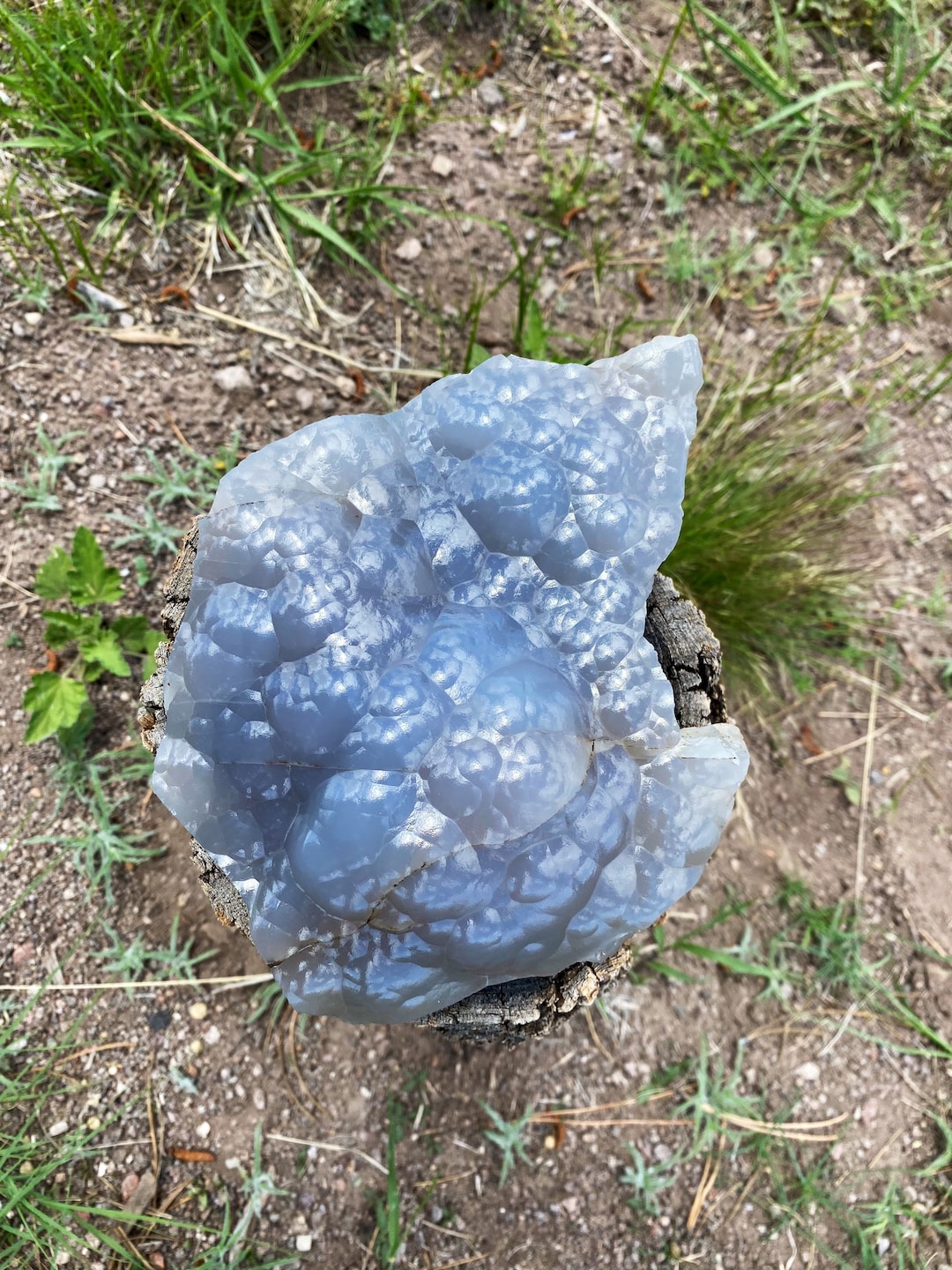Botryoidal Chalcedony Polished Slab Mineral Specimen With Spinifex ...