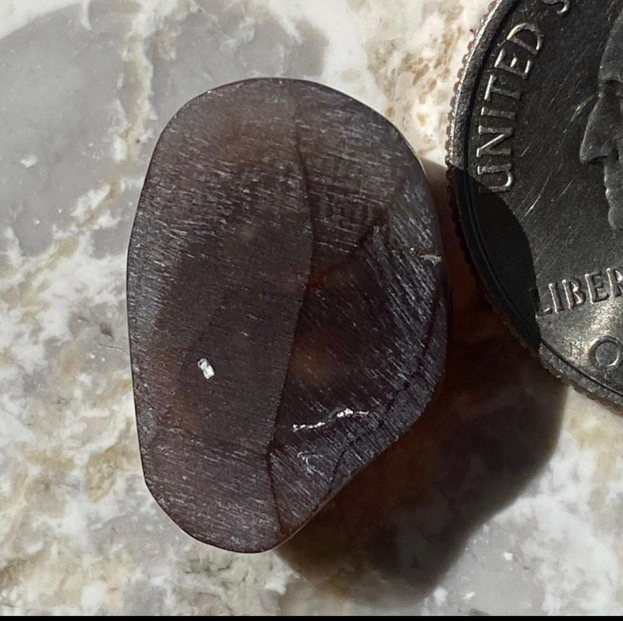 Head of the Fire Snake Botryoidal Mexican Fire Agate - Etsy