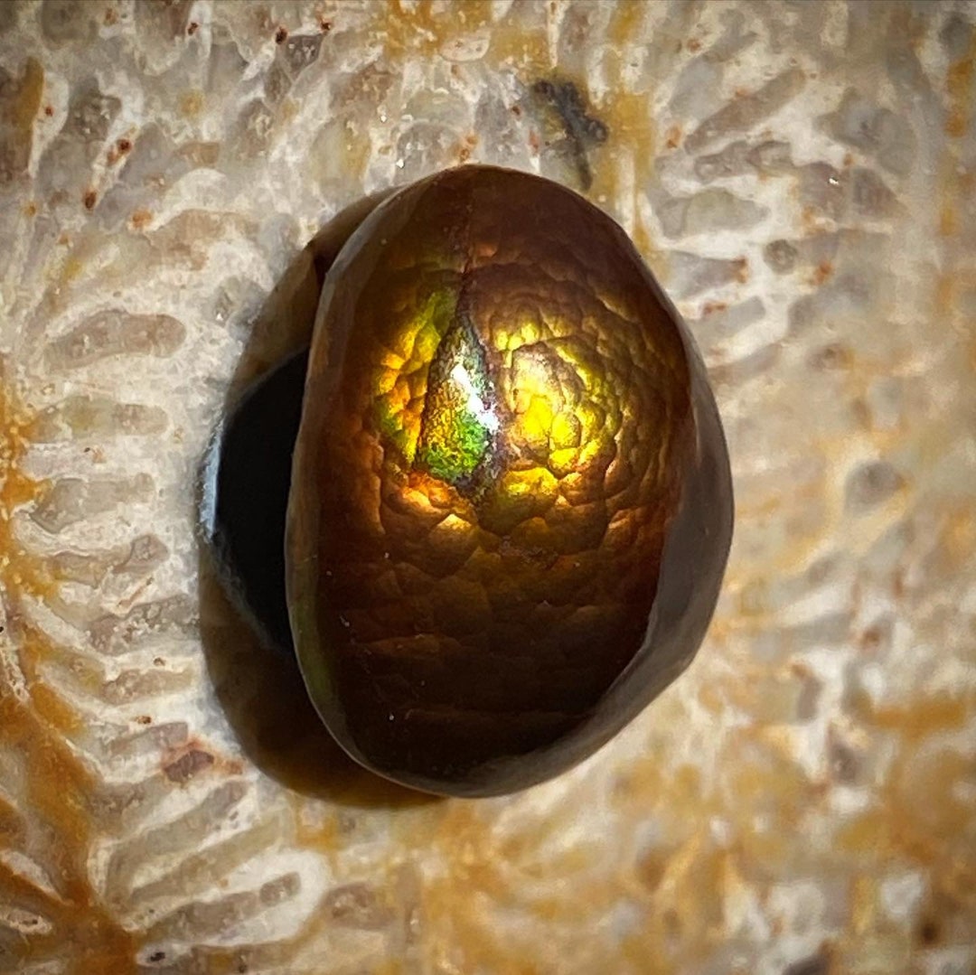 The Golden Beatle Botryoidal Mexican Fire Agate Cabochon - Etsy