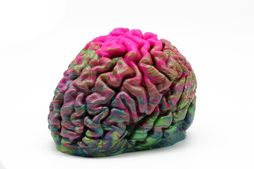 Squishy Brain Stress Ball Platinum Silicone - Etsy