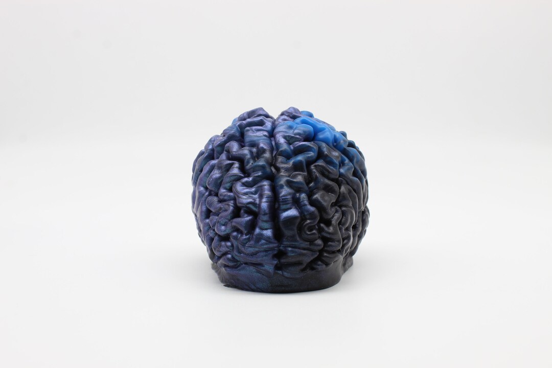 Squishy Brain Stress Ball Platinum Silicone - Etsy