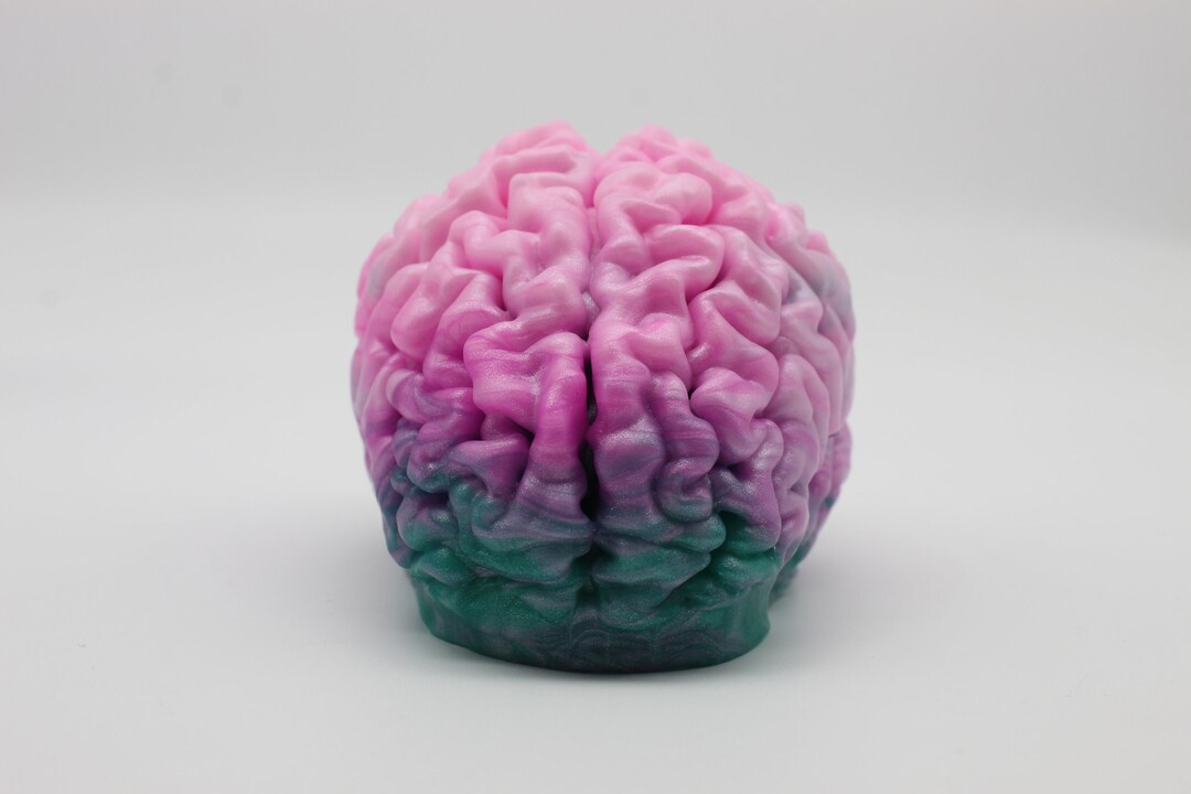 Squishy Brain Stress Ball Platinum Silicone - Etsy