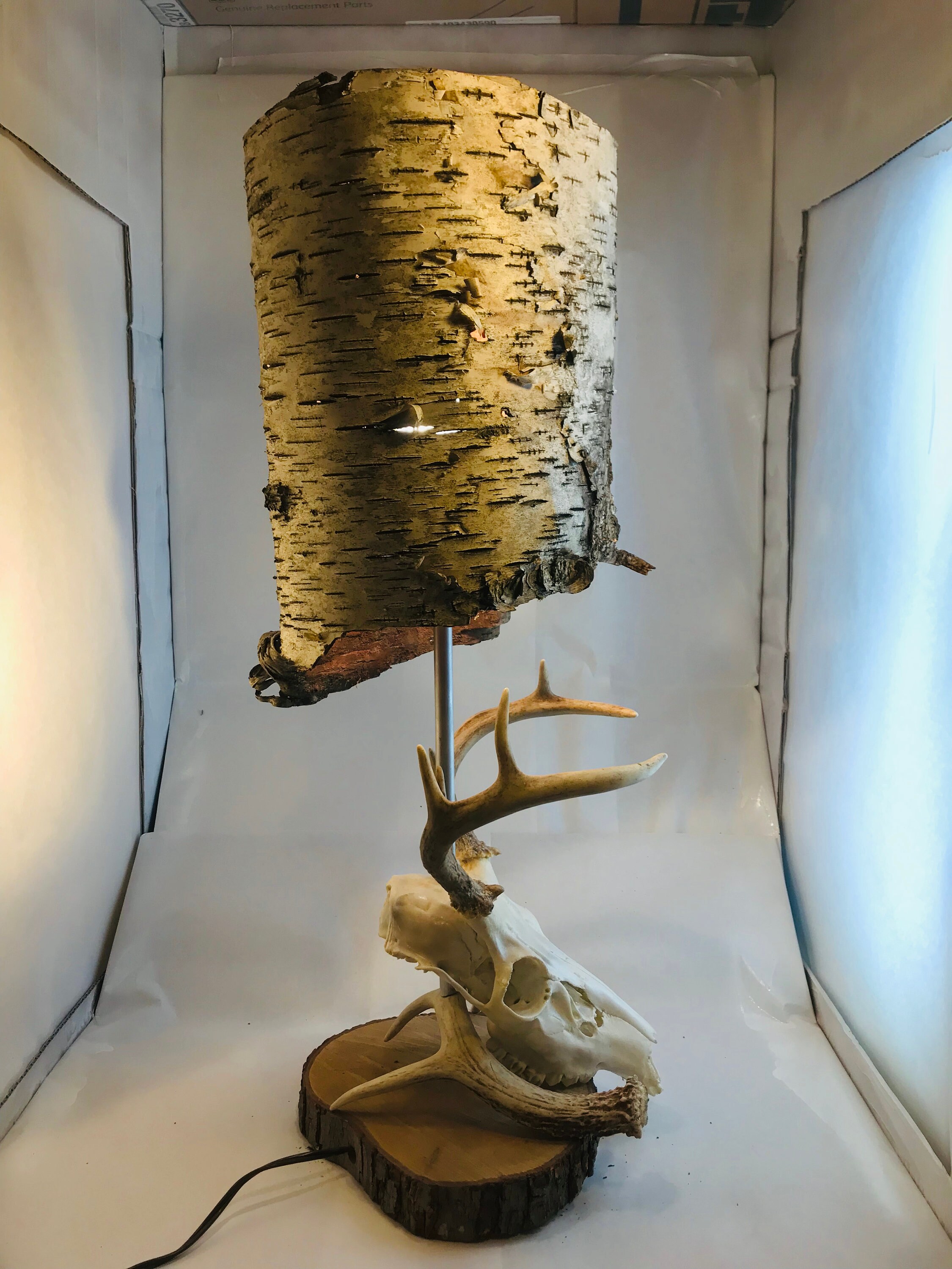 Backwoods Birch Buck Lamp - Etsy