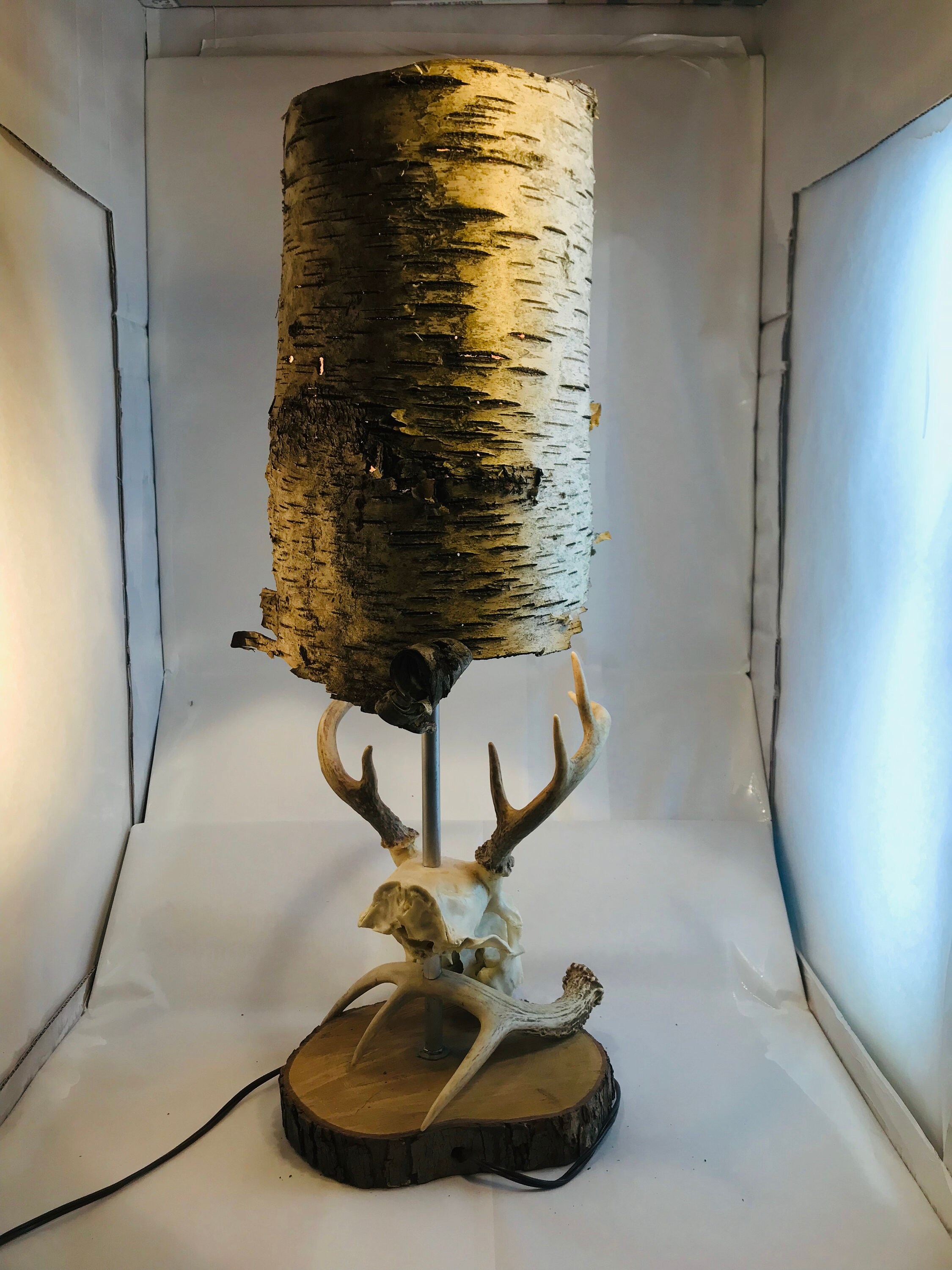 Backwoods Birch Buck Lamp - Etsy
