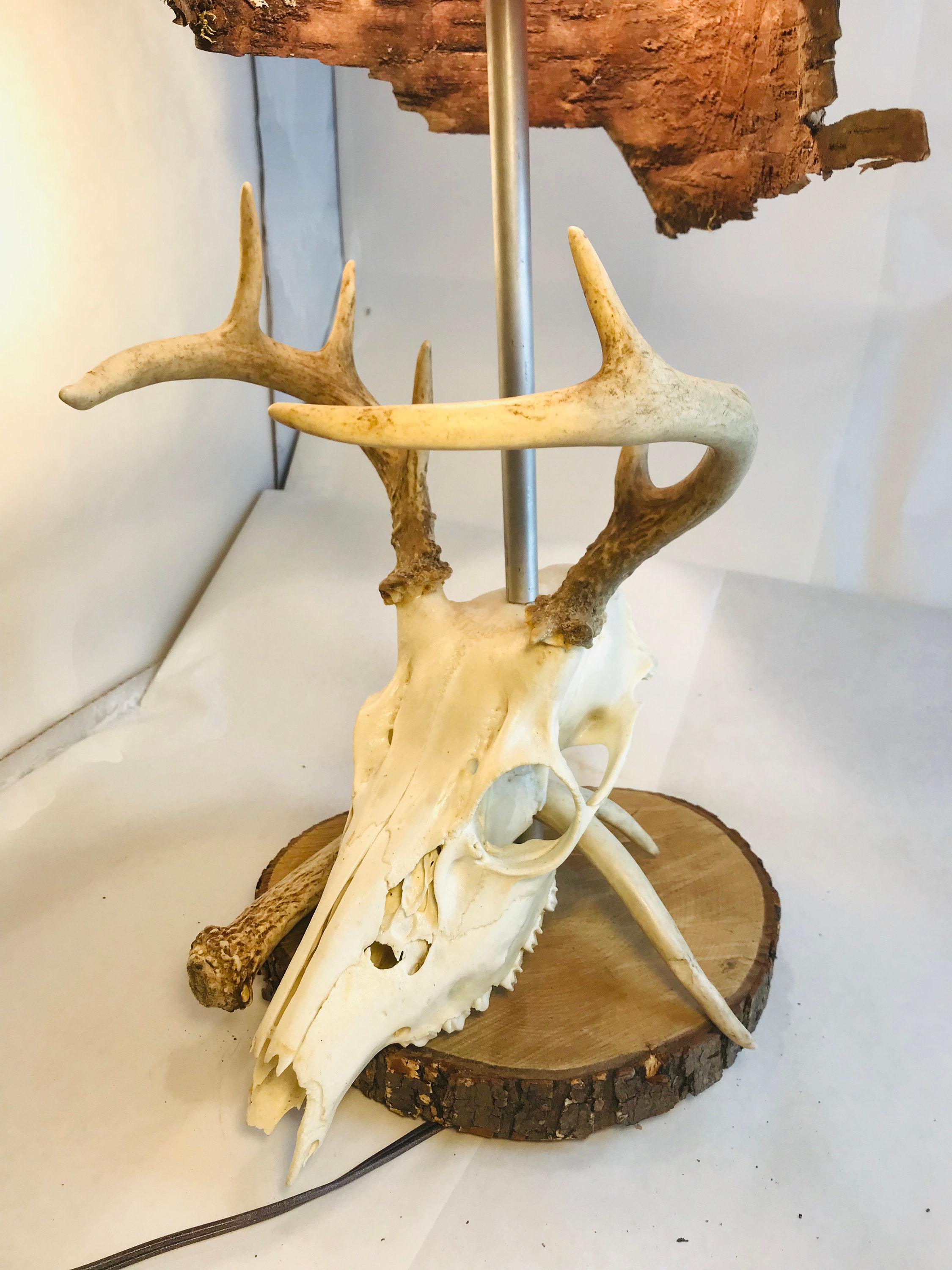 Backwoods Birch Buck Lamp - Etsy