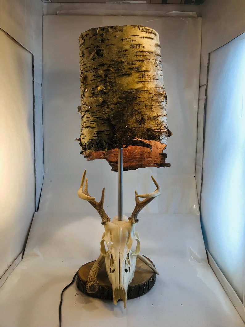 Backwoods Birch Buck Lamp - Etsy