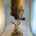 Backwoods Birch Buck Lamp - Etsy