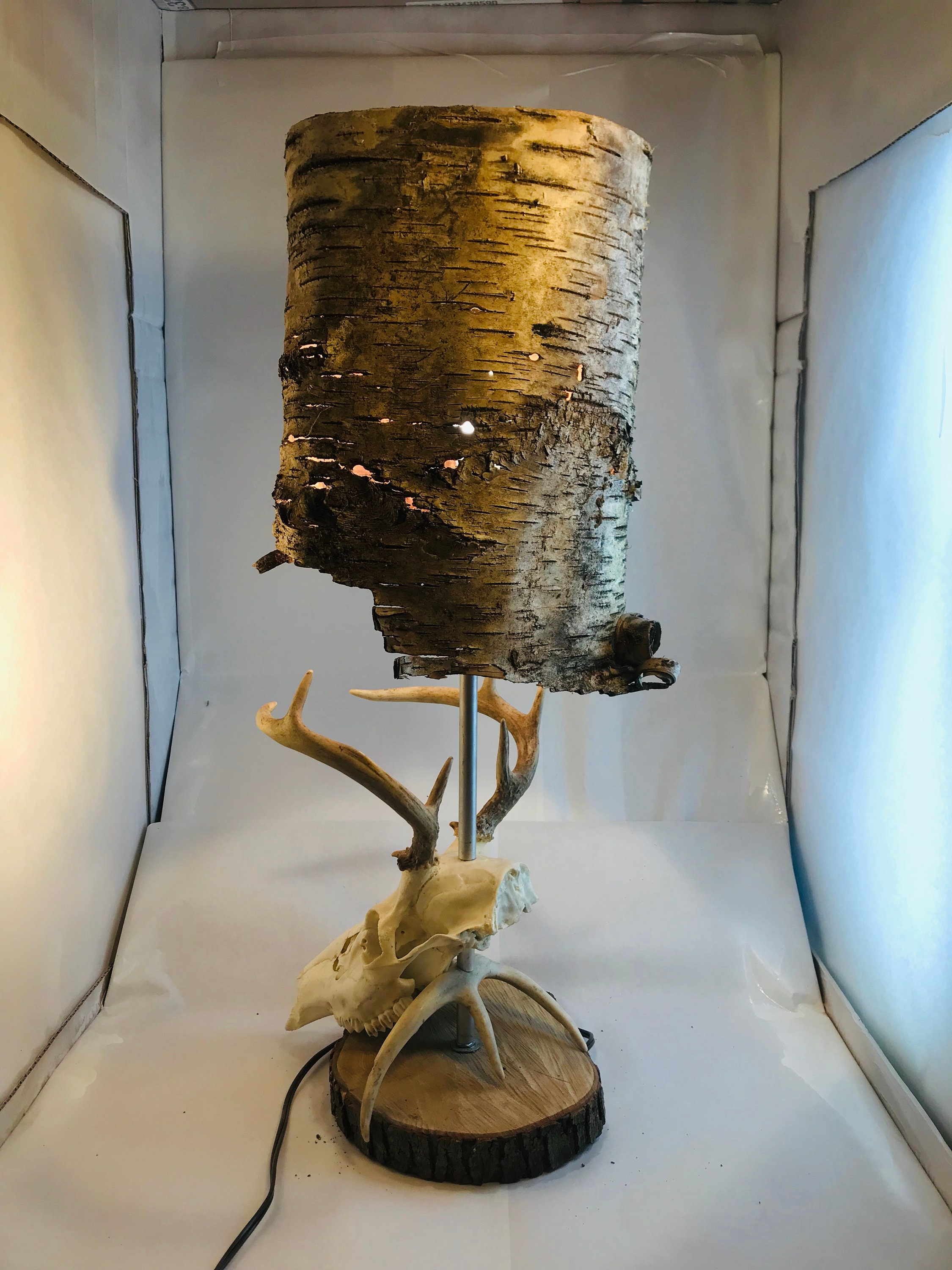 Backwoods Birch Buck Lamp - Etsy