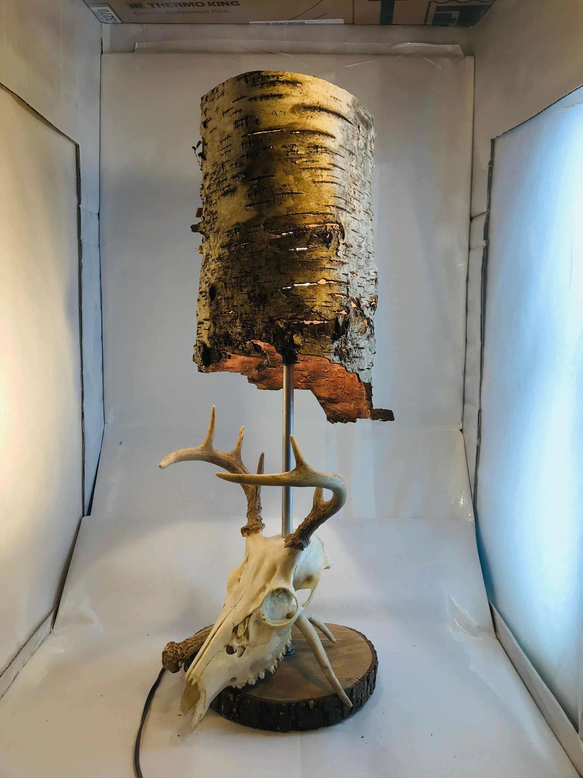 Backwoods Birch Buck Lamp - Etsy