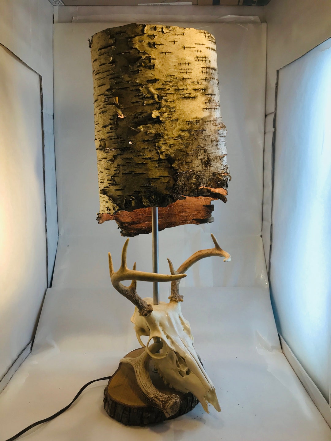 Backwoods Birch Buck Lamp - Etsy