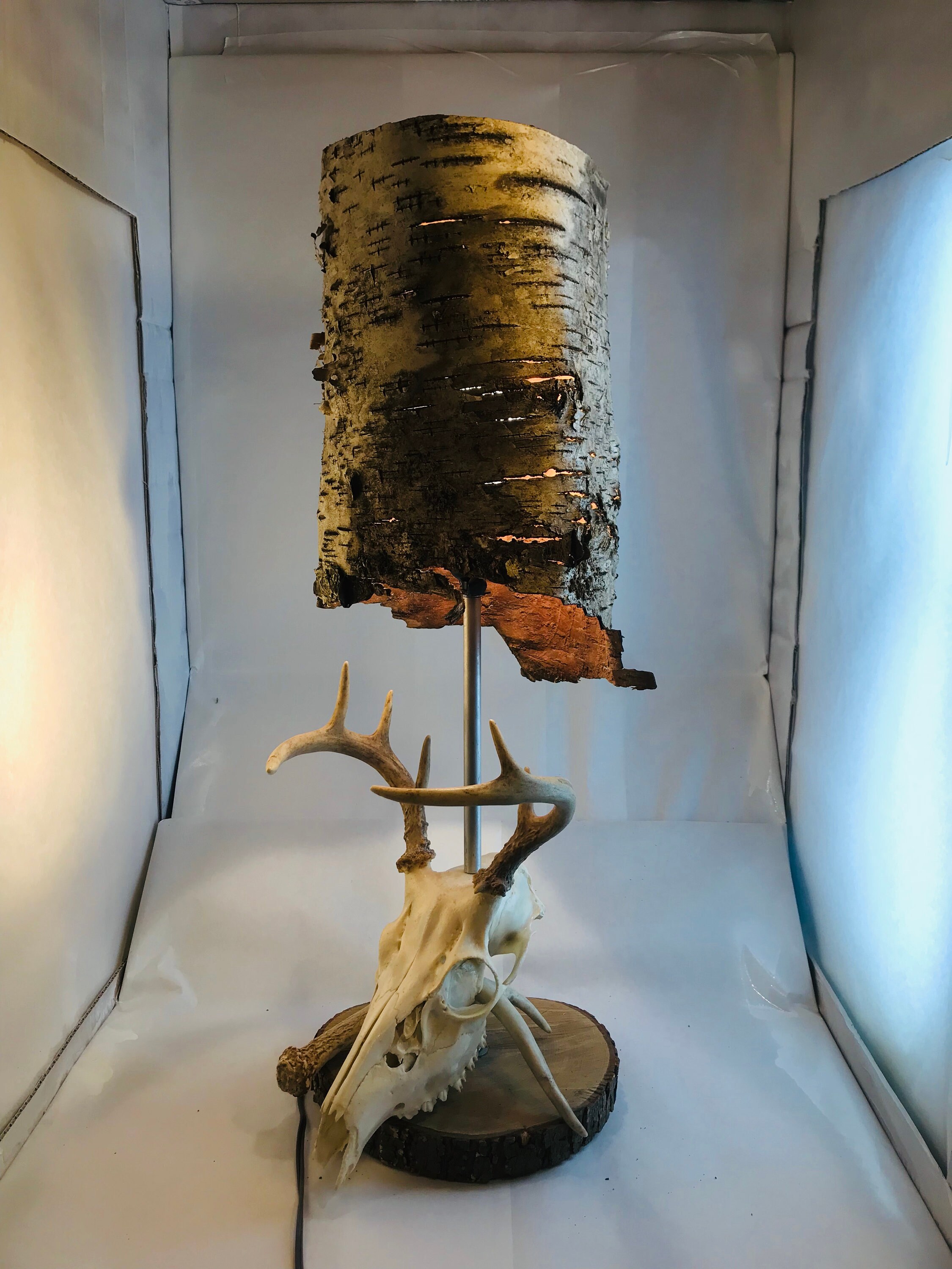 Backwoods Birch Buck Lamp - Etsy