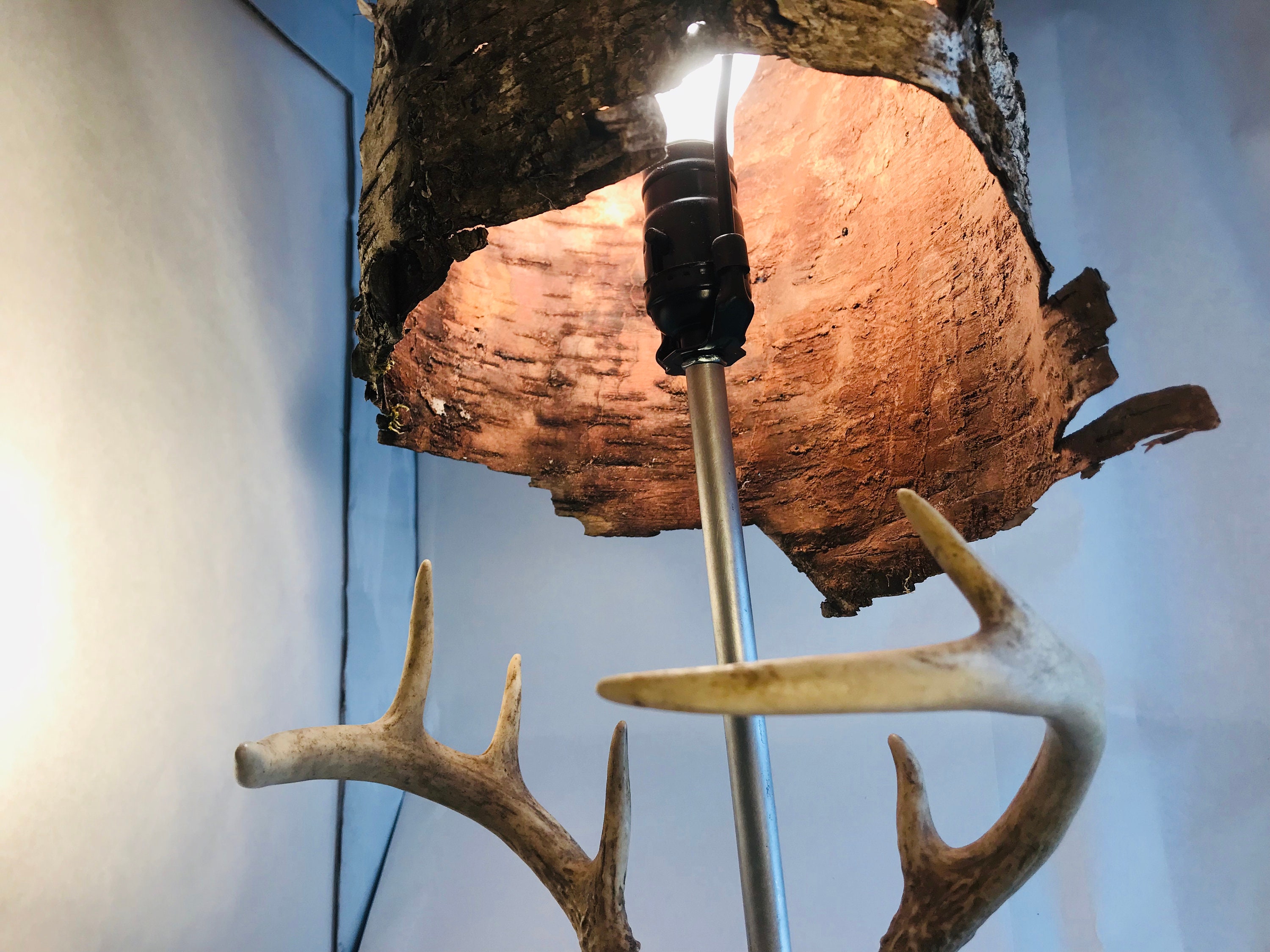 Backwoods Birch Buck Lamp - Etsy