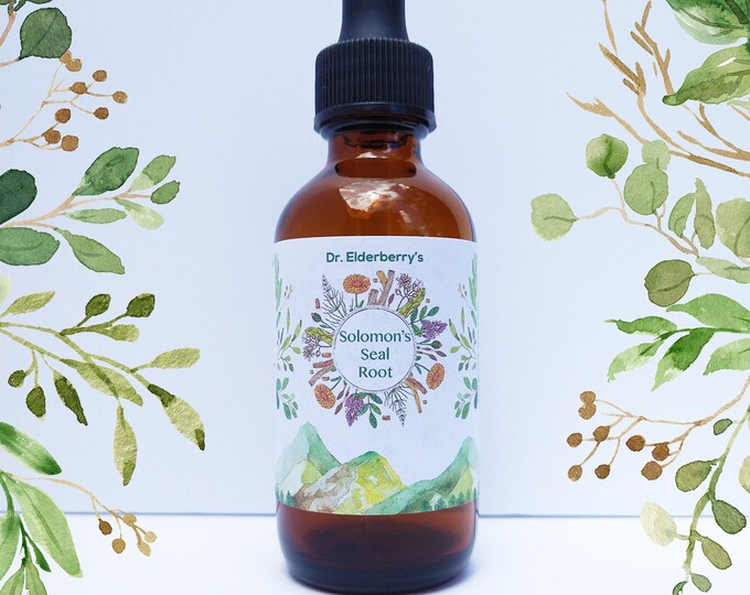 Fresh True Solomon's Seal Root ( Polygonatum Multiflorum ) - 1:2 - Wild ...