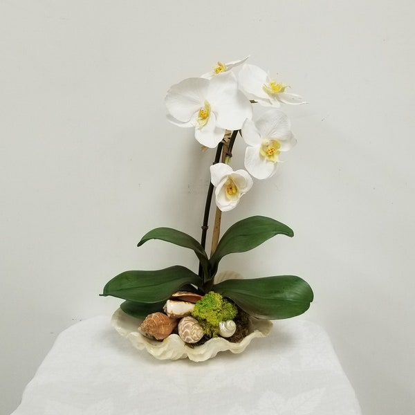 Orchid Centerpiece - Etsy