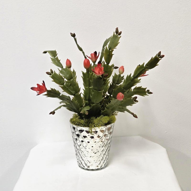 Artificial Christmas Cactus - Etsy