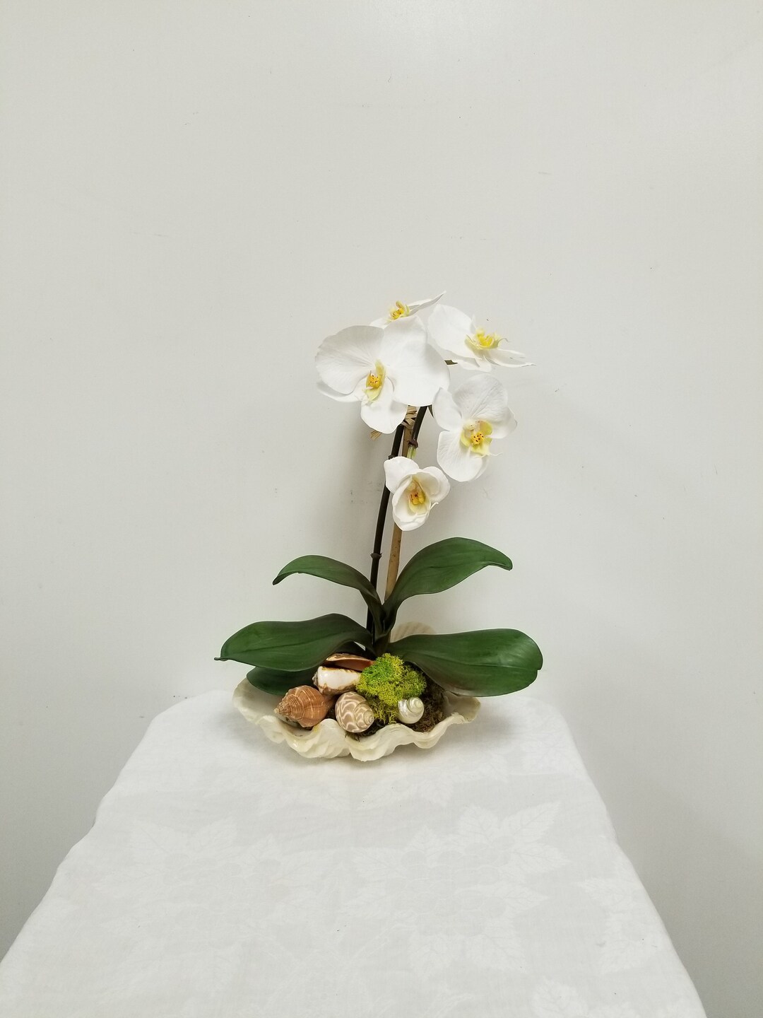 Faux White Orchid Plant in Clam Shell: Seashell & Deer Moss Decor - Etsy