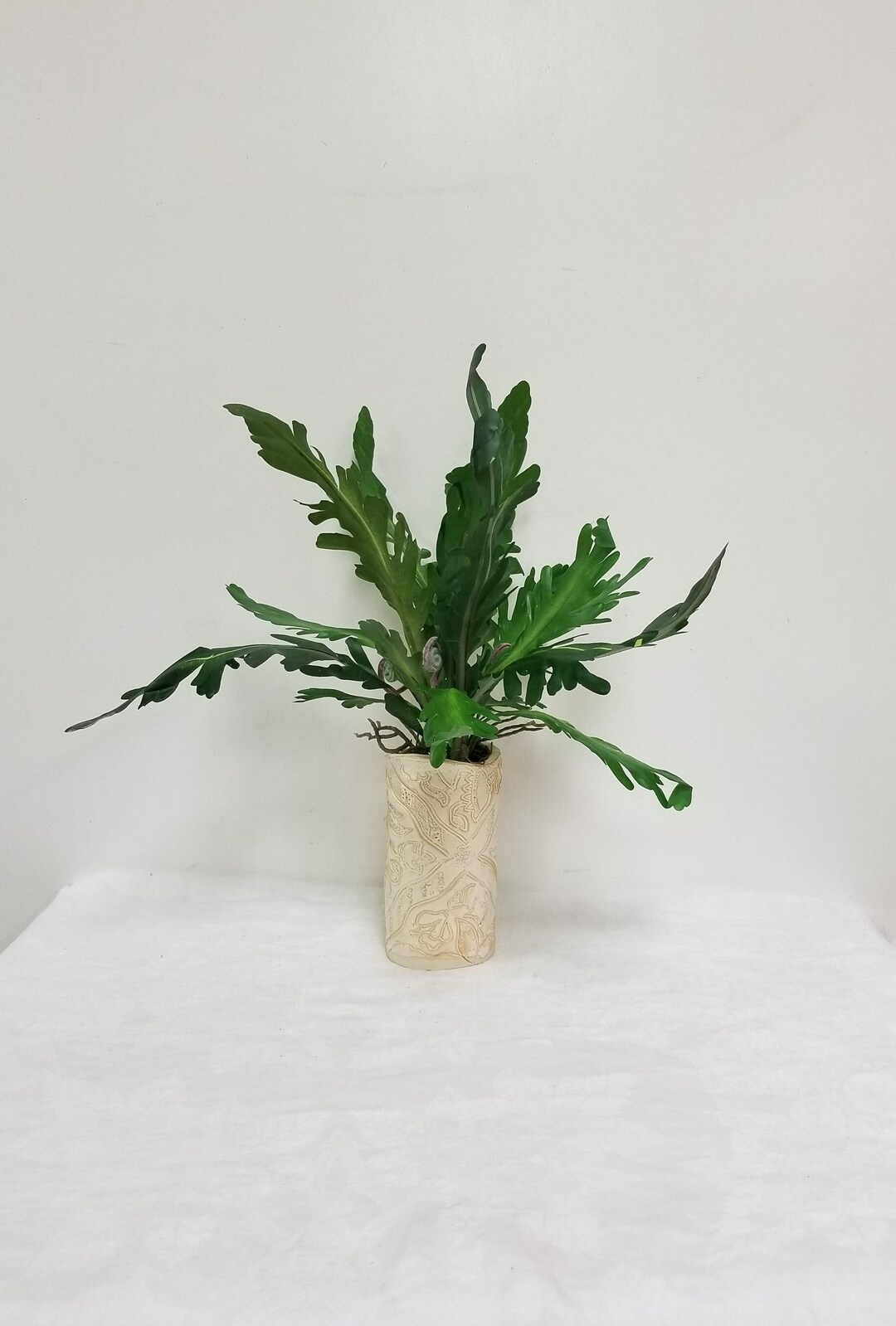 Faux Phoenix Tail Fern Plant, Potted in a Handcrafted Clay Pot Glazed ...