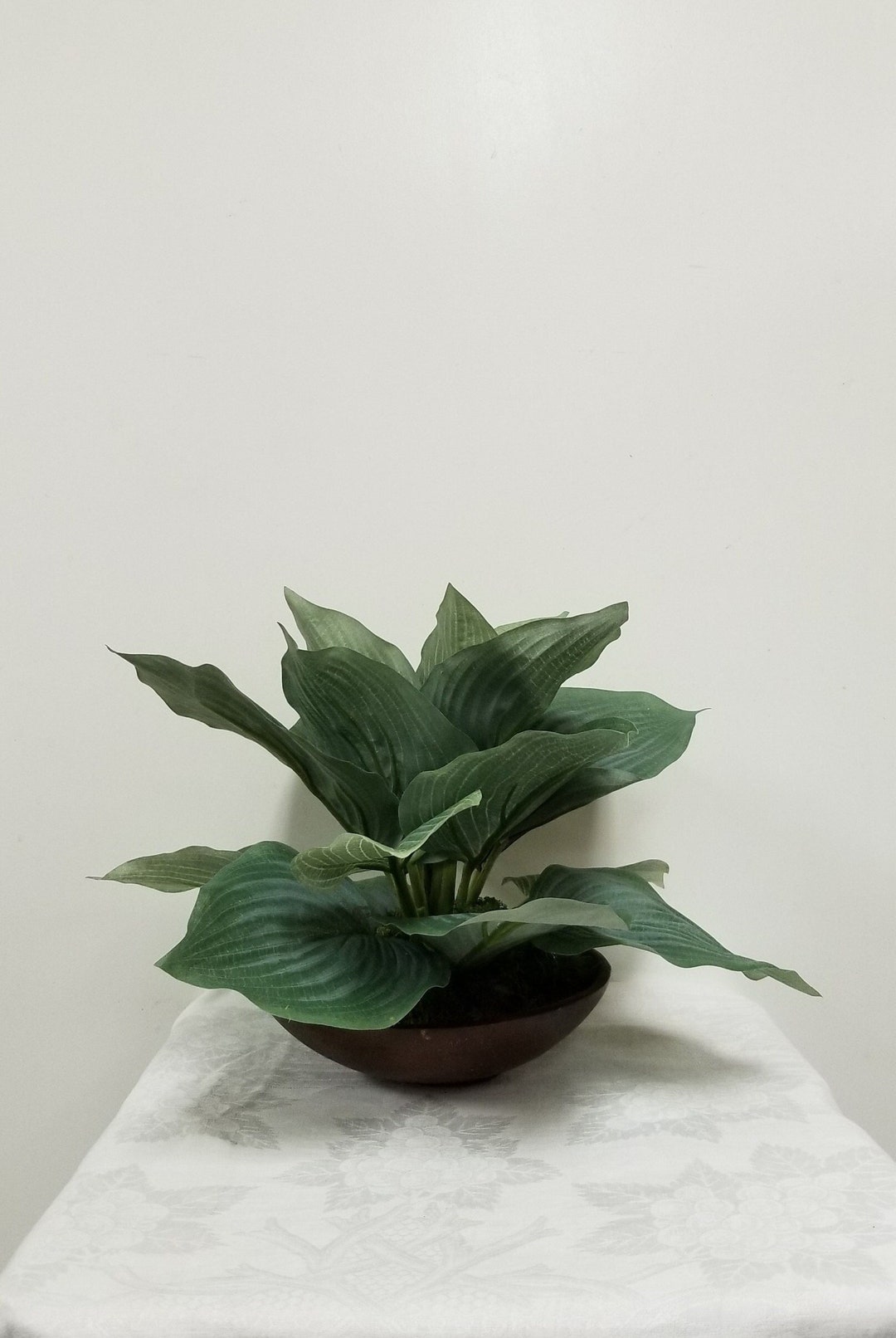 Faux Hosta Plant, Potted in a Low Round Handcrafted Wooden Carved Bowl ...
