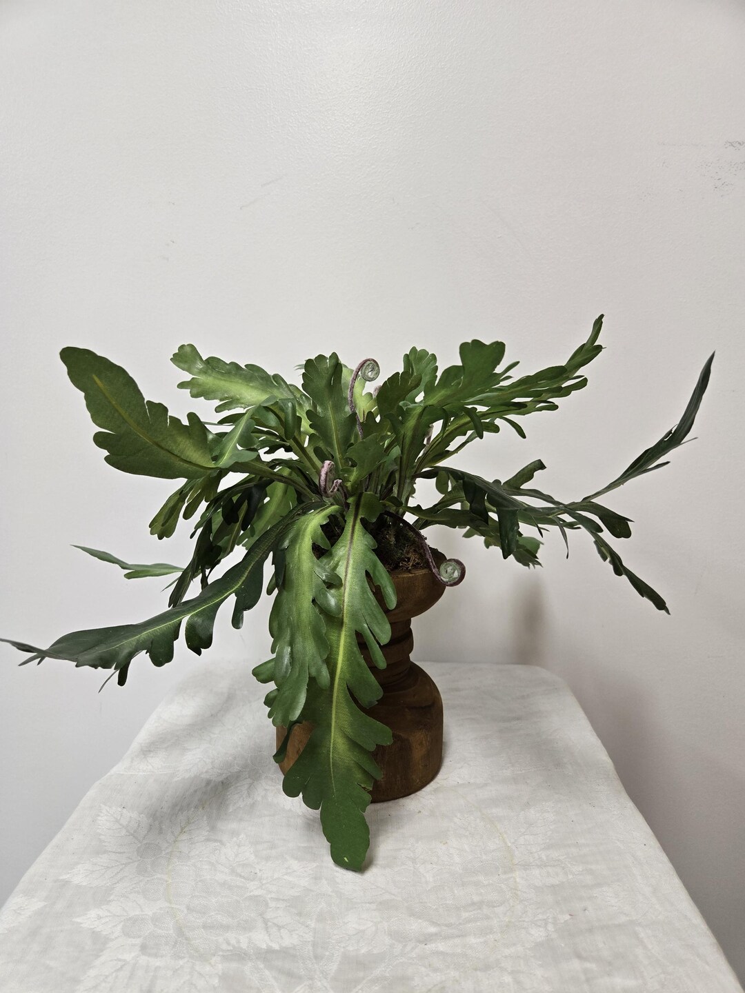 Faux Phoenix Tail Fern Plant, Potted in a Carved Wooden Container. - Etsy