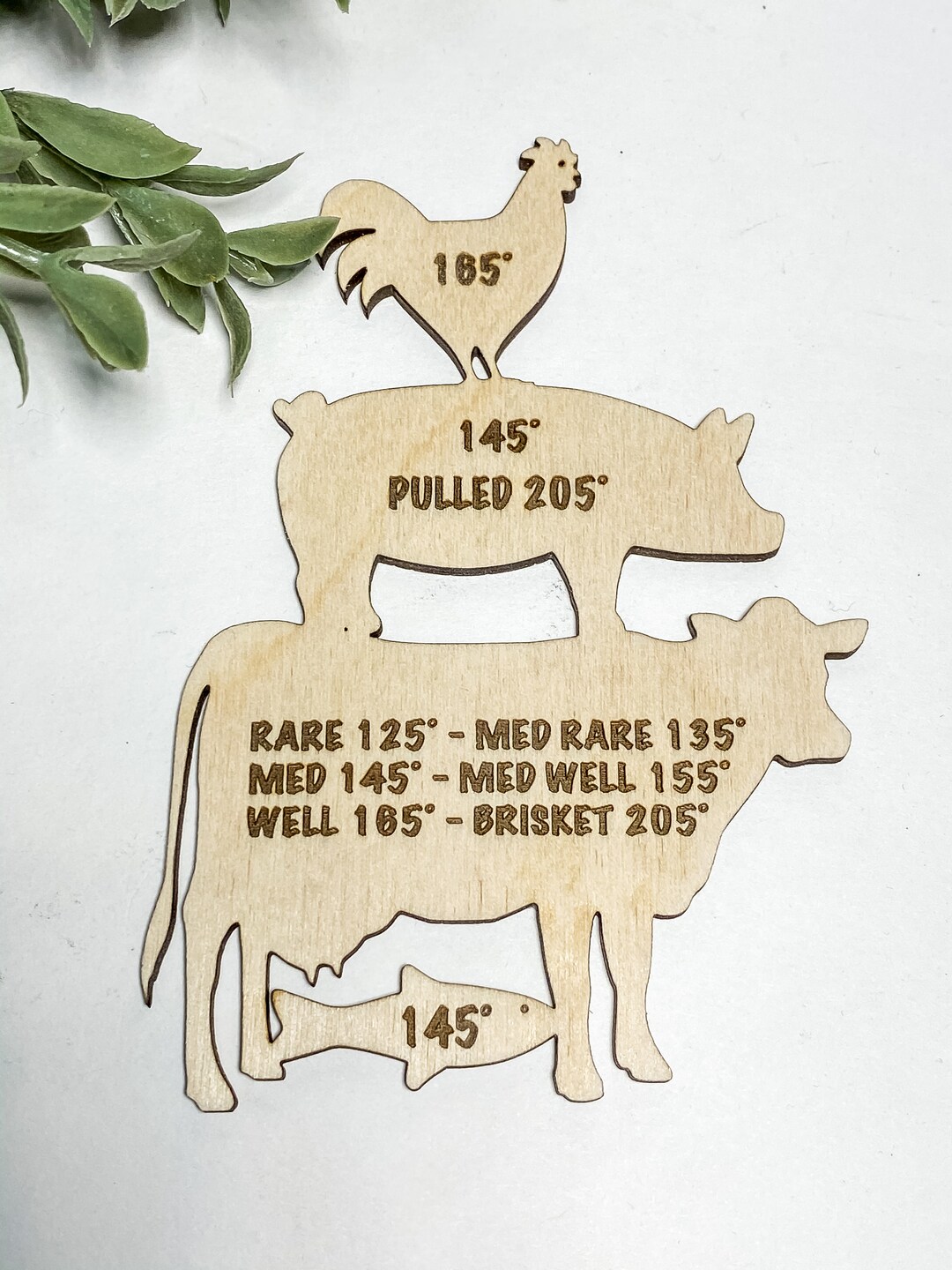 Meat Temperature Magnet for Chicken, Beef, Pork, and Fish - Etsy