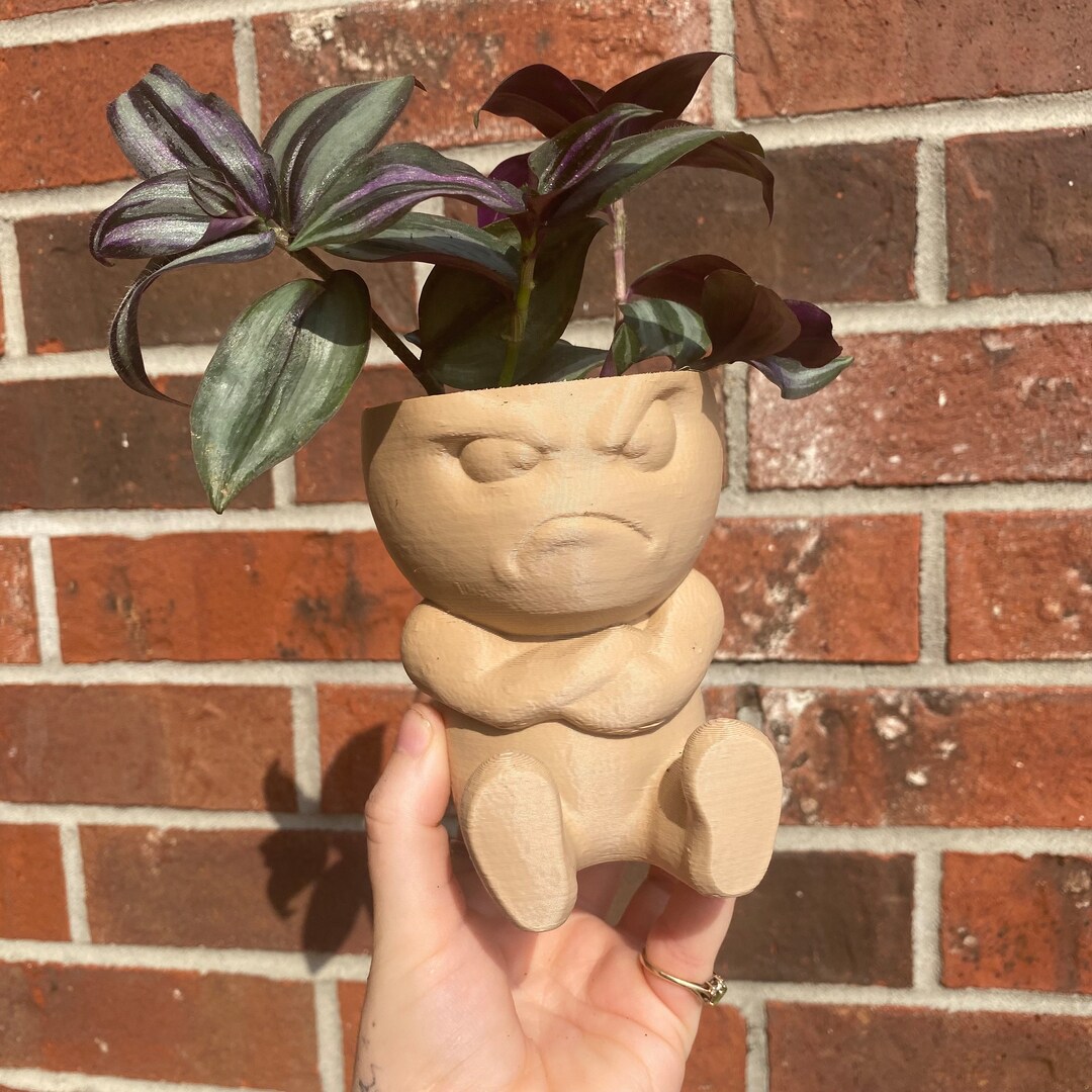 Grumpy Boy 3D Printed Plant Pot With Drainage Hole Office Planter ...
