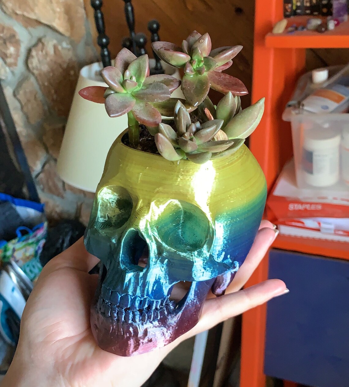 Skull 3D Printed Plant Pot Spooky Plant Pot 3D Printer - Etsy